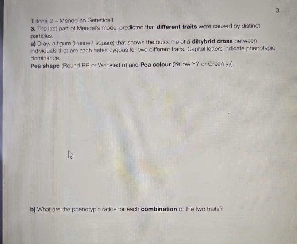 Solved 3Tutorial 2 - ﻿Mendelian Genetics 13. ﻿The last part | Chegg.com