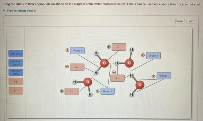 Solved Drag the labels to their appropriate locations on the | Chegg.com