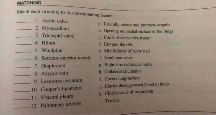 Solved MATCHING Match each structure to its corresponding | Chegg.com