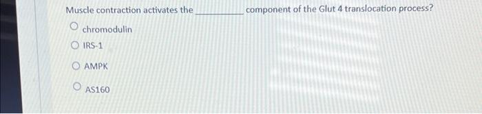 Solved component of the Glut 4 translocation process? Muscle | Chegg.com