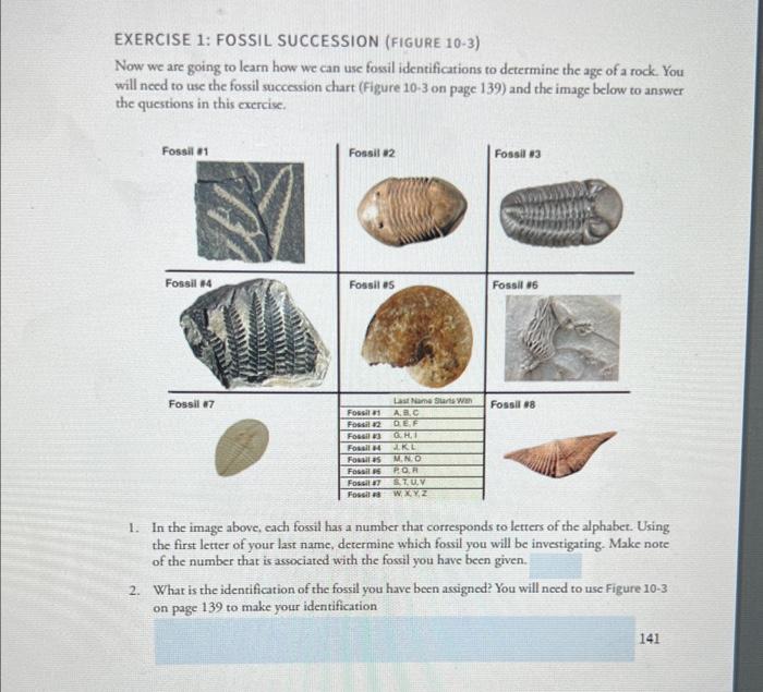 Solved EXERCISE 1: FOSSIL SUCCESSION (FIGURE 10-3) Now we | Chegg.com