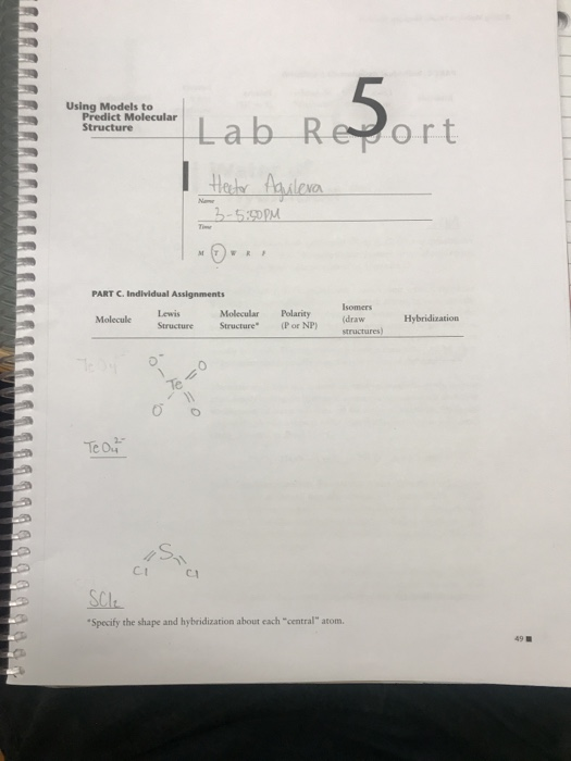 Solved Using Models to Predict Molecular Structure Lab | Chegg.com