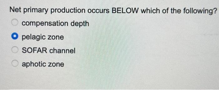 Solved Net primary production occurs BELOW which of the | Chegg.com