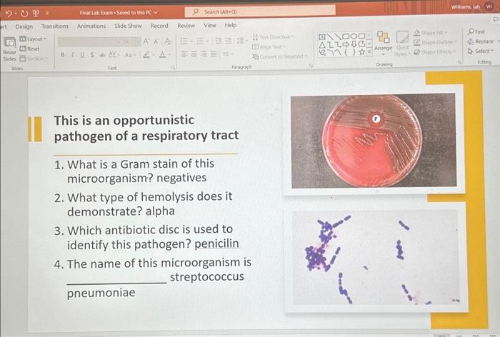 Solved This is an opportunistic pathogen of a respiratory | Chegg.com