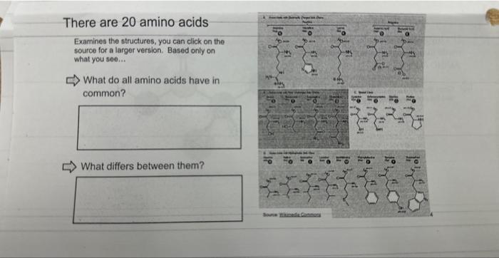 Solved Examines the structures, you can click on the source | Chegg.com