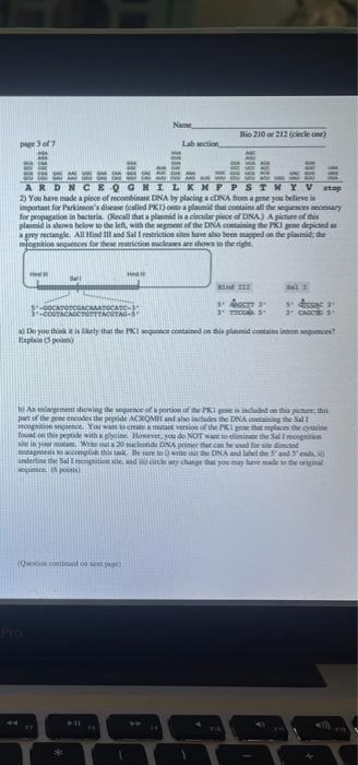 Solved 2 Yoe hive made a piose of recondinais DNA by placing | Chegg.com