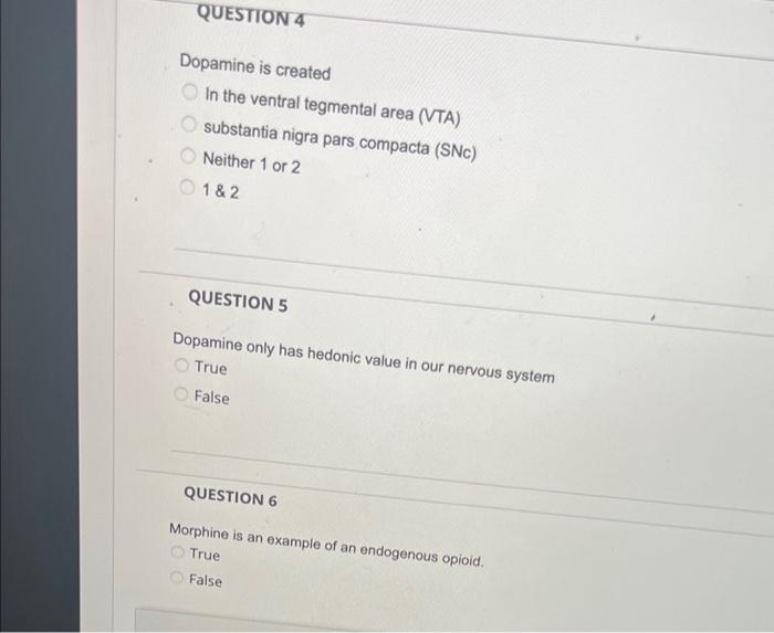 Solved Dopamine is created In the ventral tegmental area | Chegg.com