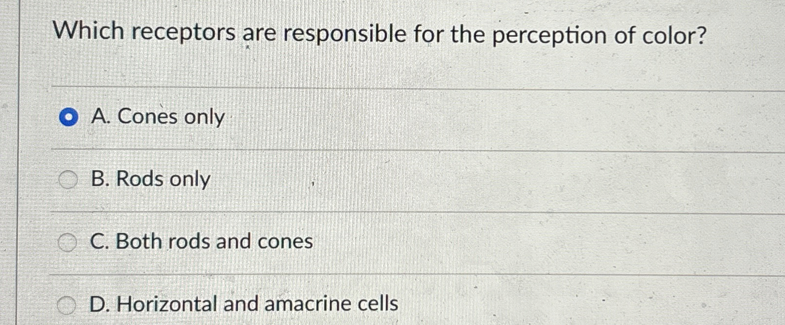 Solved Which receptors are responsible for the perception of | Chegg.com