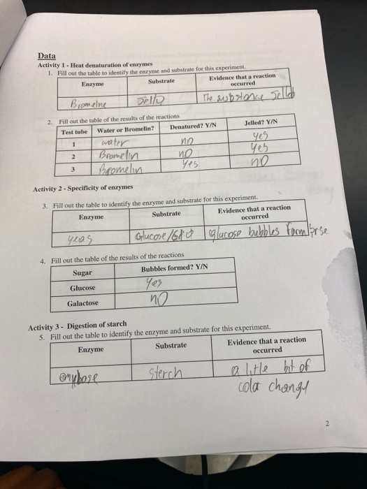 Solved Data Activity 1. Heat denaturation of enzymes 1. Hill | Chegg.com