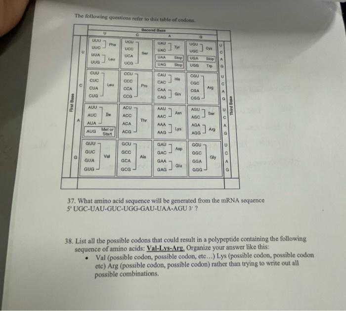 Solved The following questions refer to this table of codons | Chegg.com