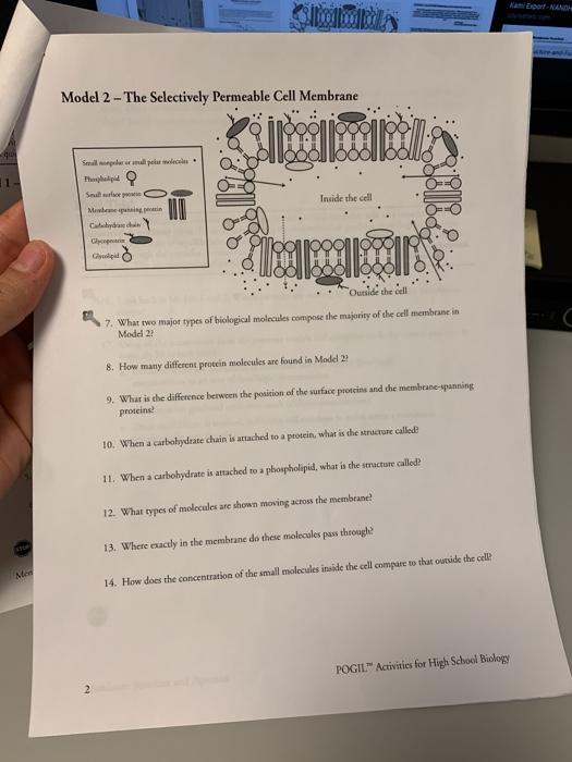 Solved Model 2 - The Selectively Permeable Cell Membrane | Chegg.com
