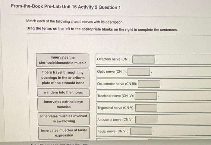 Solved From The Book Pre Lab Unit 16 Activity 2 Question 1 
