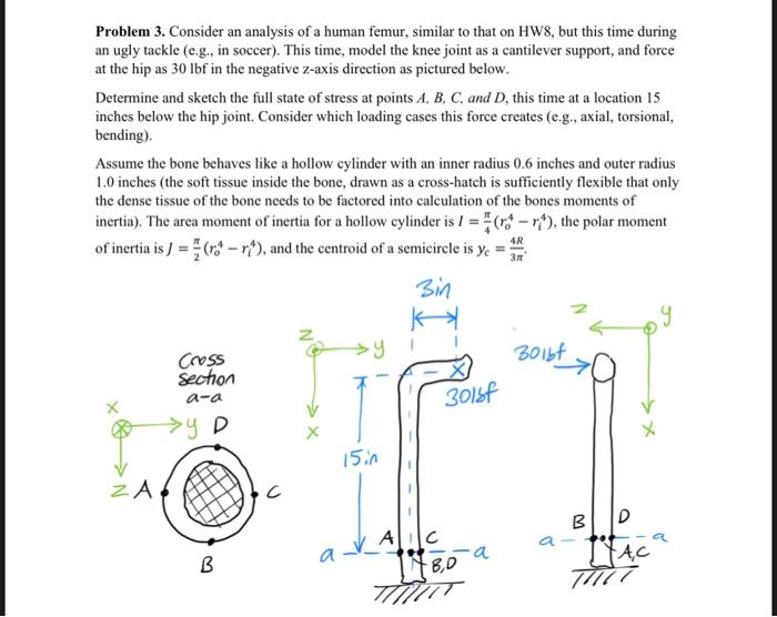 Problem 3. Consider an analysis of a human femur, | Chegg.com Problem 3. Consider an analysis of a human femur, | Chegg.com