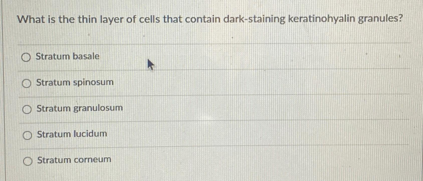 Solved What is the thin layer of cells that contain | Chegg.com