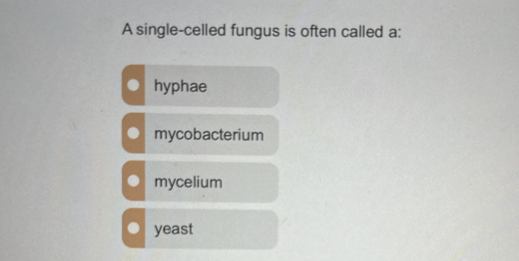 Solved A single-celled fungus is often called a:hyphae | Chegg.com