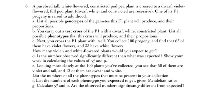Solved 8. A purebred tall, white-flowered, constricted pod | Chegg.com