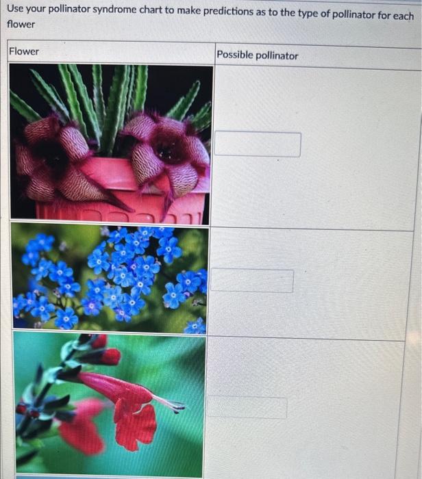 Solved Use your pollinator syndrome chart to make | Chegg.com