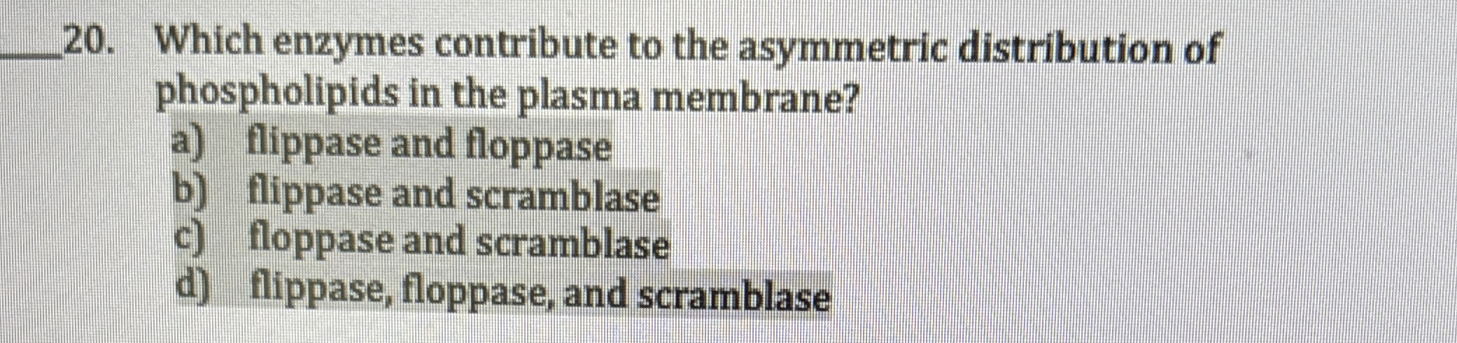 Solved Which enzymes contribute to the asymmetric | Chegg.com