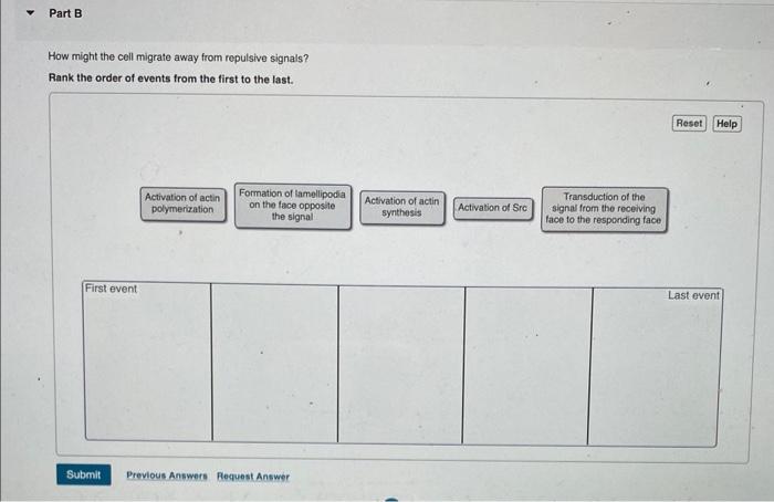 Solved The localization and translational control of actin | Chegg.com