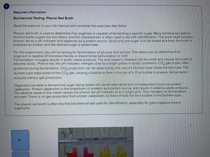 Solved Required information Biochemical Testing: Phenol Red | Chegg.com