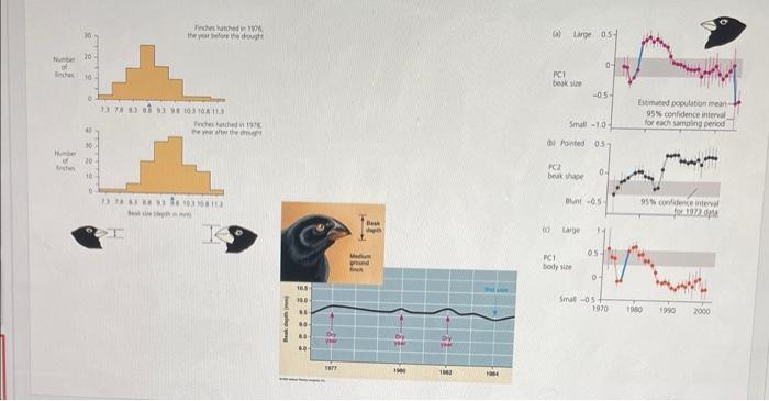 Solved Make sure you can explain how the graphs generated | Chegg.com