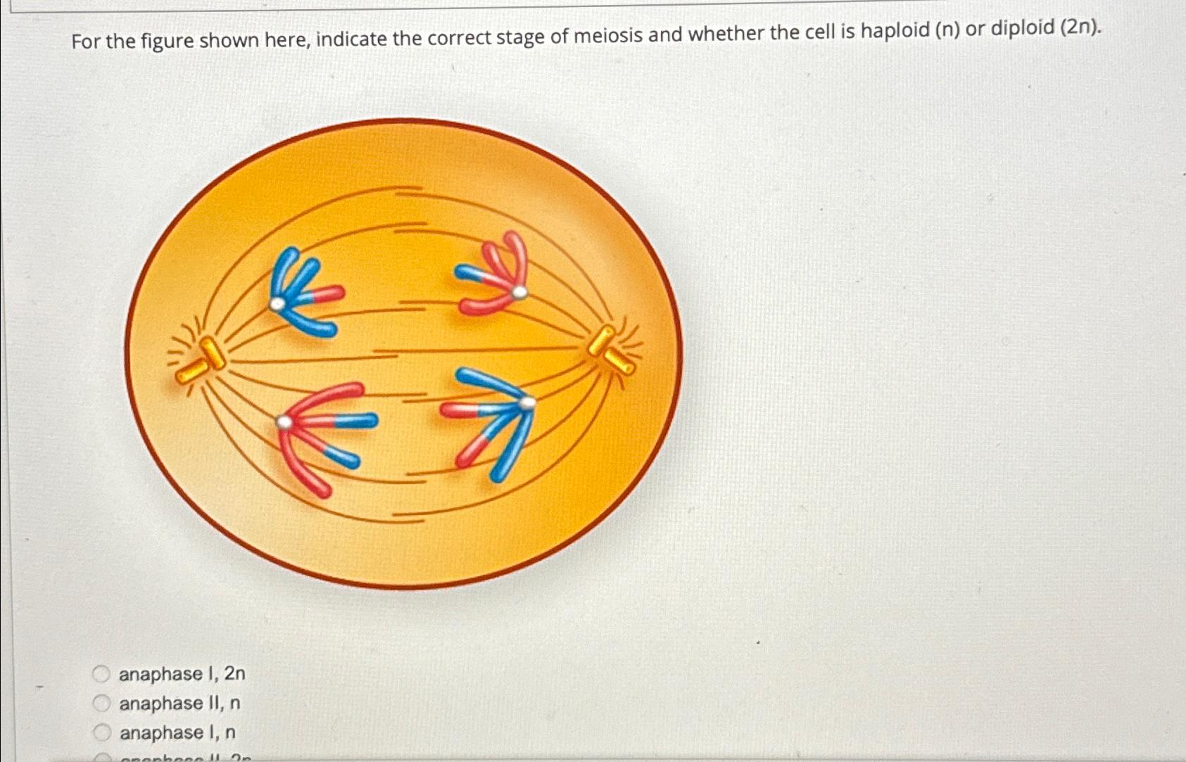 For the figure shown here, indicate the correct stage | Chegg.com