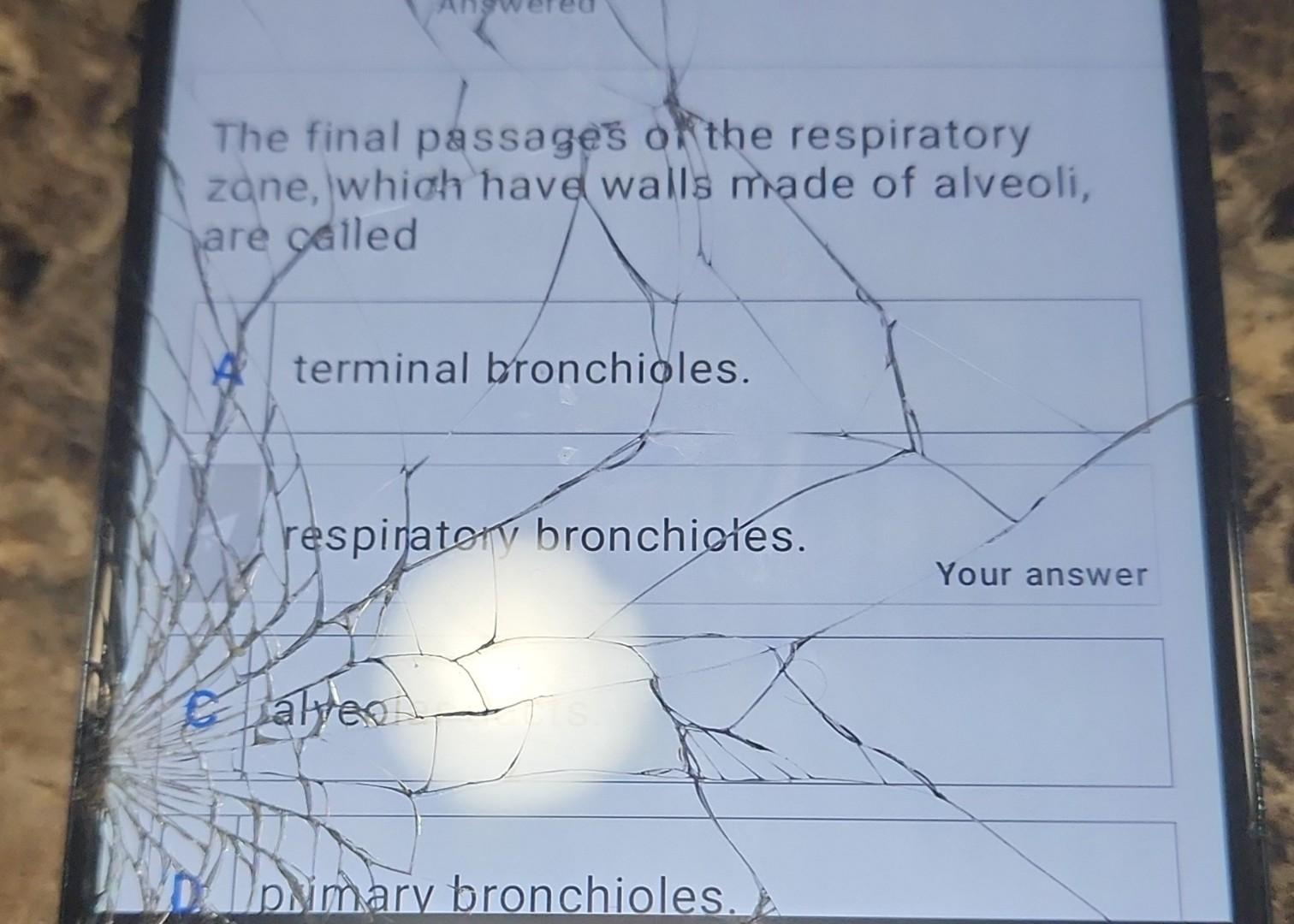 Solved The final passages of the respiratory zone, which | Chegg.com