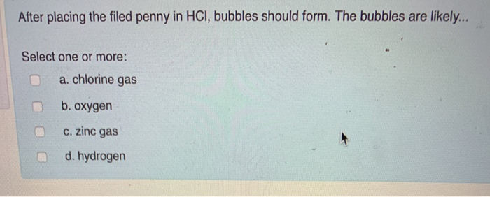 Solved after placing the filed penny in HCL,bubbles should | Chegg.com