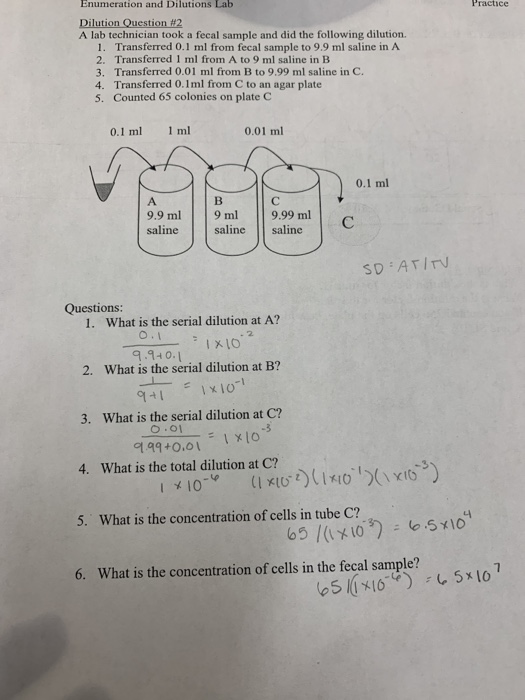 Solved Practice Enumeration and Dilutions Lab Dilution | Chegg.com