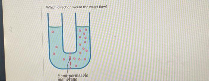 Solved Which direction would the water flow? Which | Chegg.com