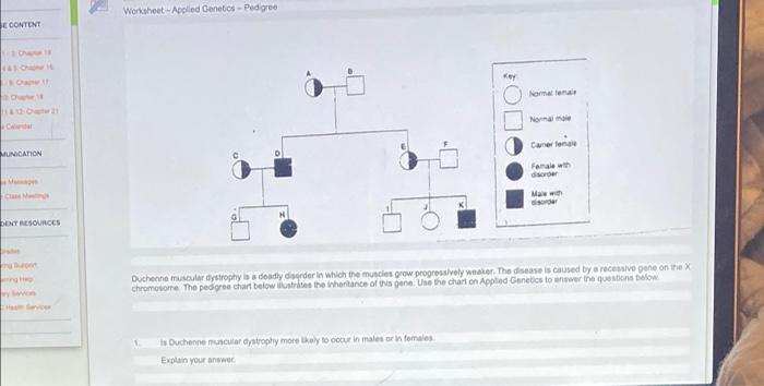 Duchenne Muscular Dystrophy Pedigree Chart
