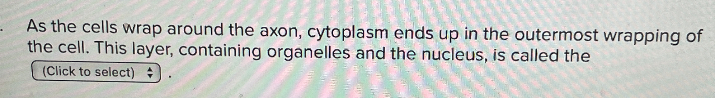 Solved As the cells wrap around the axon, cytoplasm ends up | Chegg.com