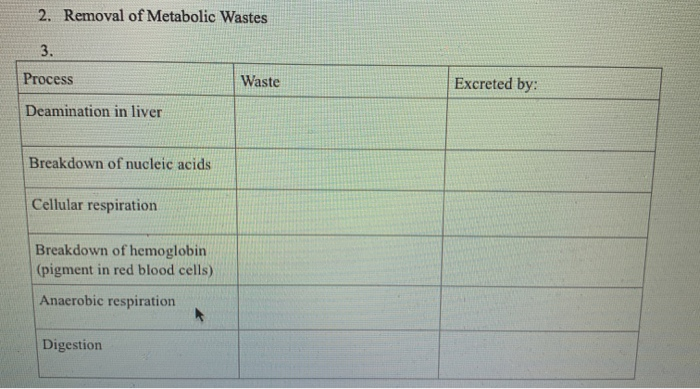 Solved 2. Removal of Metabolic Wastes 3. Process Waste | Chegg.com