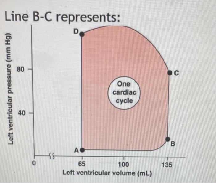 Solved Line B-C represents: | Chegg.com