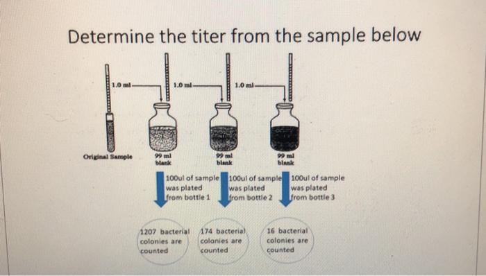 Solved Determine the titer from the sample below 1.0 ml 1.0 | Chegg.com