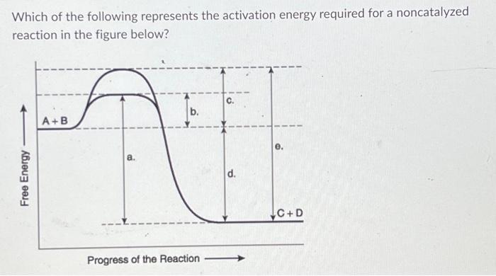Solved Which of the following represents the activation | Chegg.com