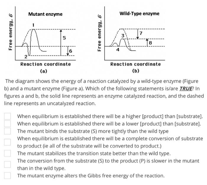 Solved Mutant enzyme Wild-Type enzyme Free energy, 6 Free | Chegg.com