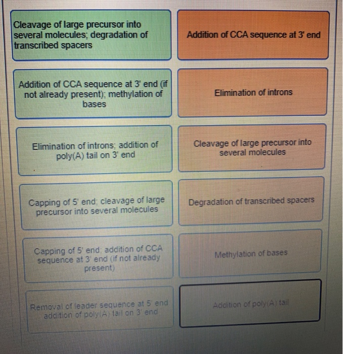 Solved For each indicate two kinds of processing that the | Chegg.com
