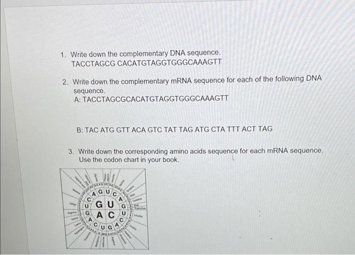 Solved 1. Write down the complementary DNA sequence. | Chegg.com