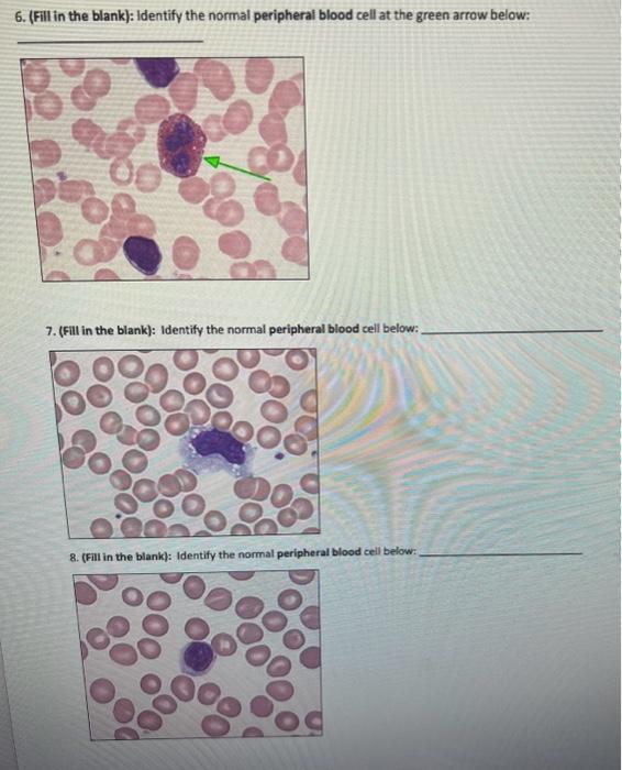 Solved 3. (Fill in the blank): Based on the image below, | Chegg.com