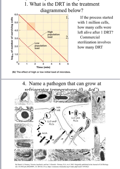 Solved 6.0 5.0 1. What is the DRT in the treatment | Chegg.com