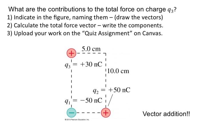 Solved What are the contributions to the total force on | Chegg.com