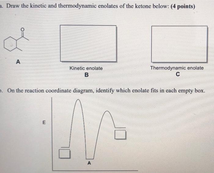 Solved 2. Draw the kinetic and thermodynamic enolates of the | Chegg.com