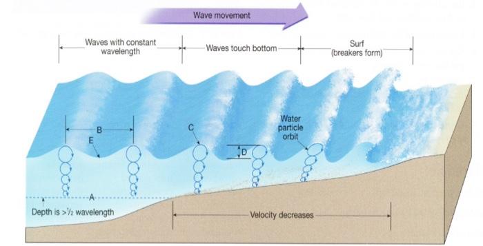 13. From Figure 11.2. select the letter that | Chegg.com