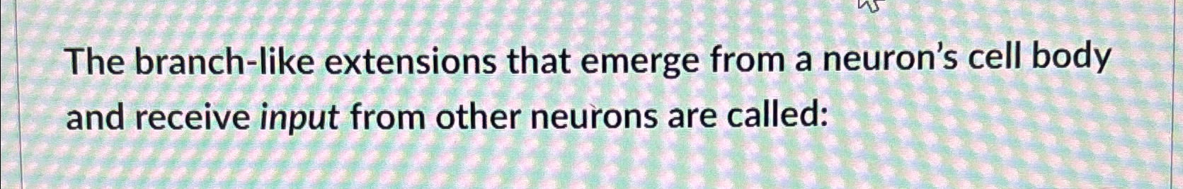 Solved The branch-like extensions that emerge from a | Chegg.com