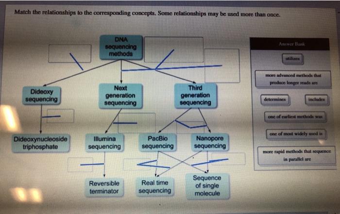 Solved Match the relationships to the corresponding | Chegg.com