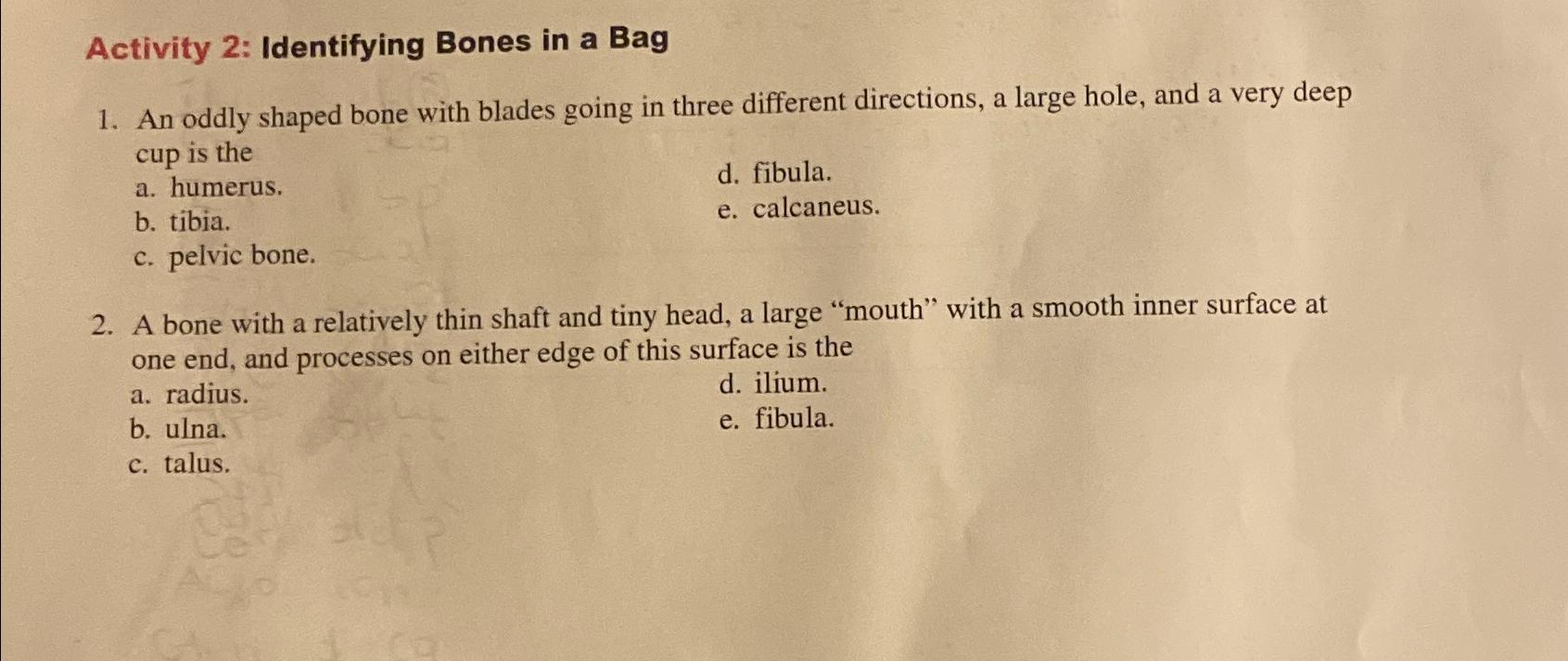 Solved Activity 2: Identifying Bones in a BagAn oddly shaped | Chegg.com