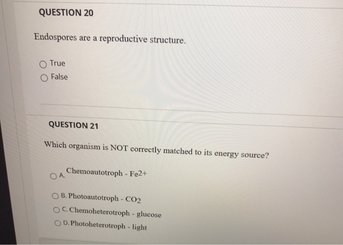 Solved QUESTION 20 Endospores are a reproductive structure. | Chegg.com
