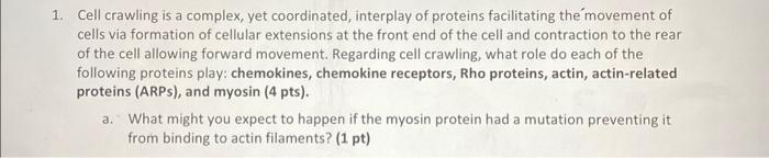 Solved 1. Cell crawling is a complex, yet coordinated, | Chegg.com