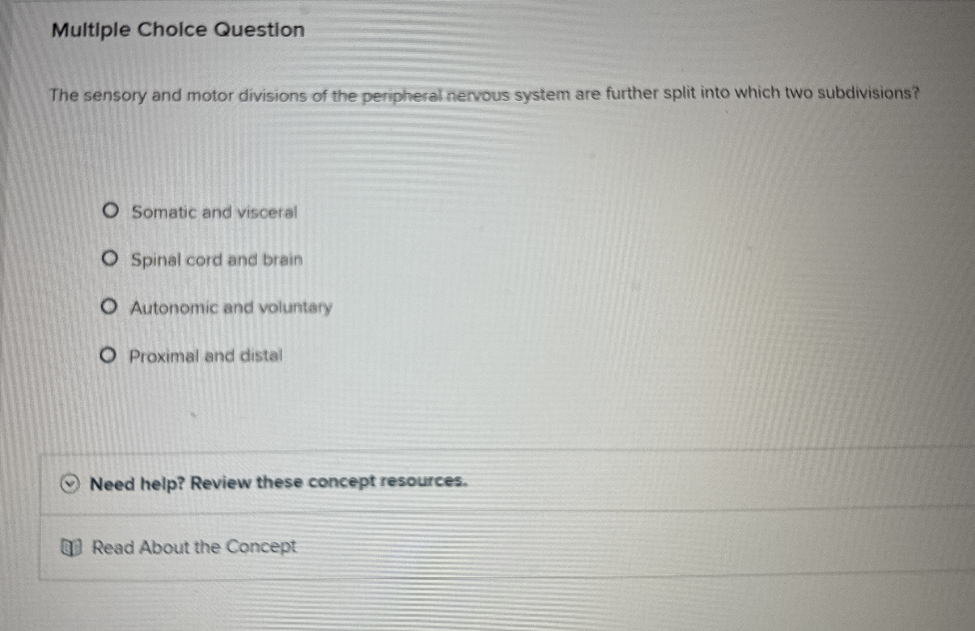 Solved Multiple Choice QuestionThe sensory and motor | Chegg.com